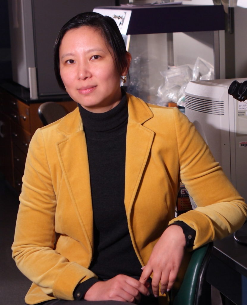 New Leadership Named for Medical Scientist Training Program - News Center