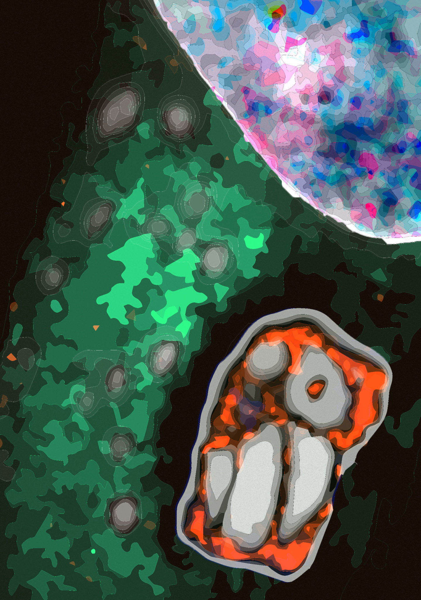 Exploring the Mechanisms of Poxvirus Replication - News Center