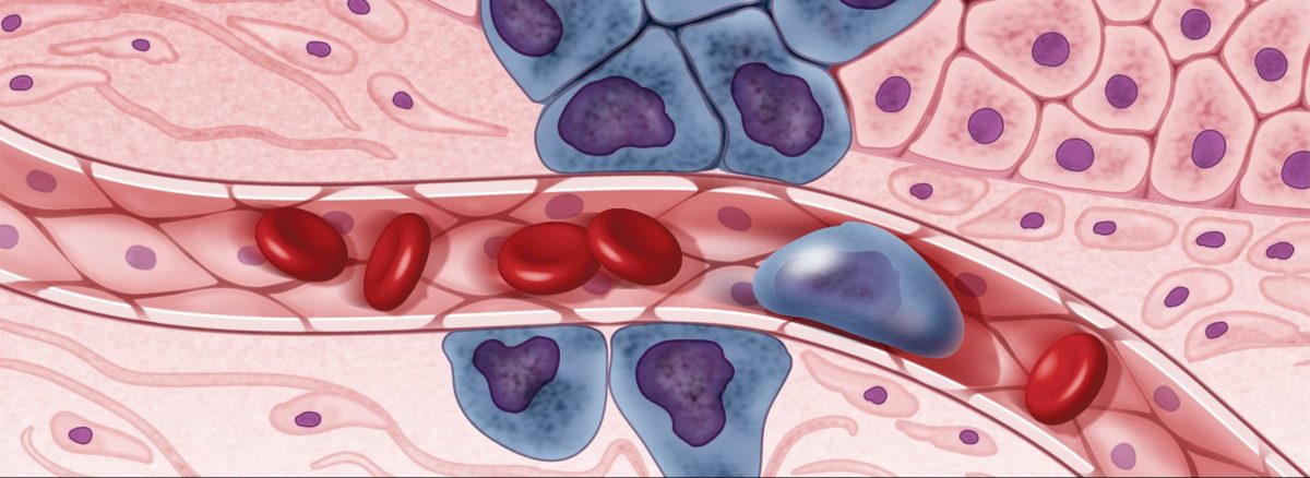 ‘Exceptional’ Science at the Lurie Cancer Center - News Center