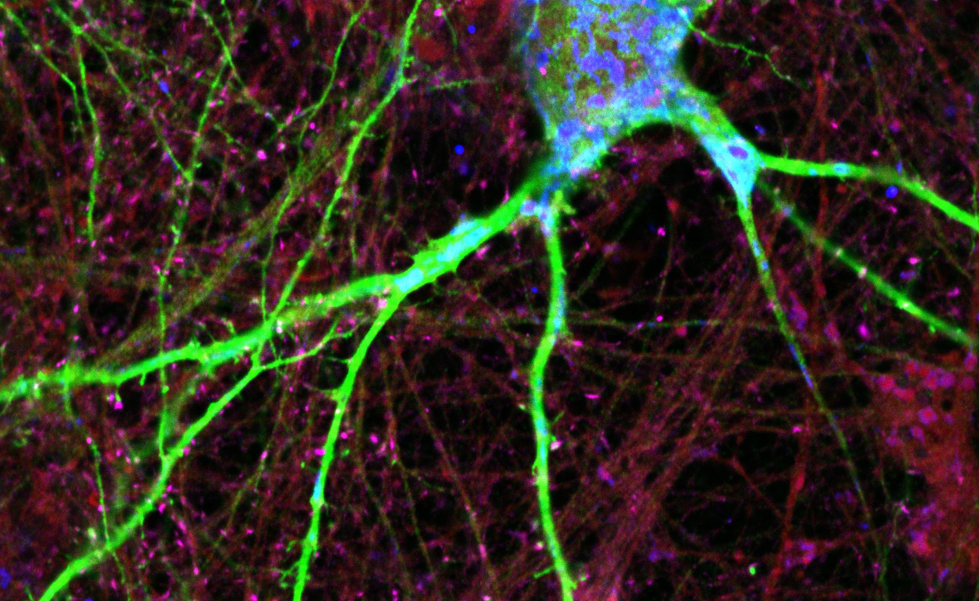 New Frontiers — in Medicine, and on Campus - News Center