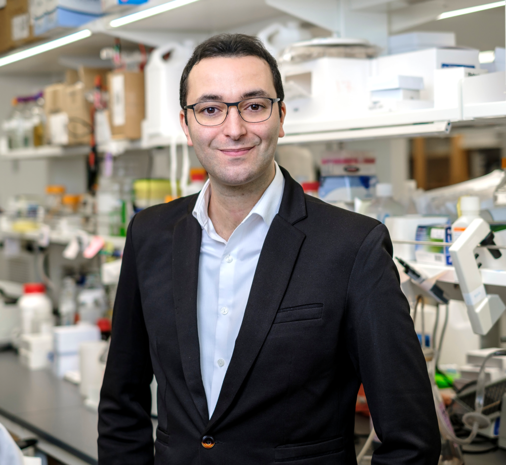 Cancer Cells Hijack Nucleotide Metabolism to Boost Cell Proliferation - News Center