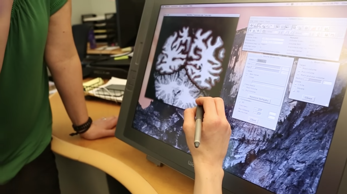 Investigating the Biology of Aging - News Center