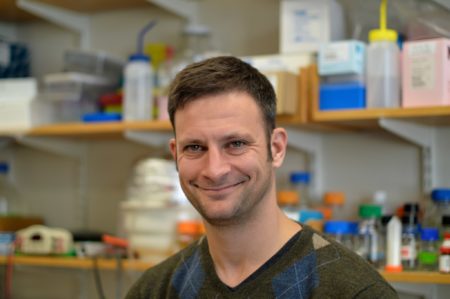 'Feedback Loop' Promotes Cancer Cells’ Adaption to Molecular Stress ...