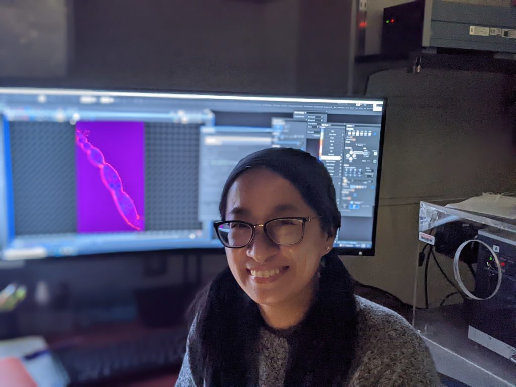 Exploring Flow Transport in Egg Cells - News Center