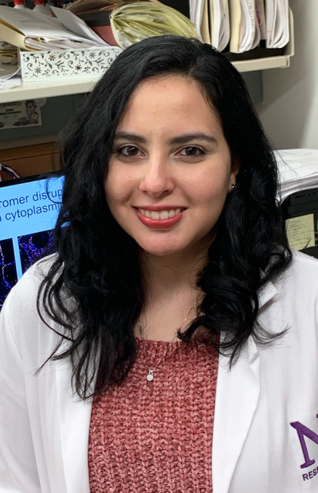 Novel Mechanisms Regulate Inflammatory Skin Diseases - News Center