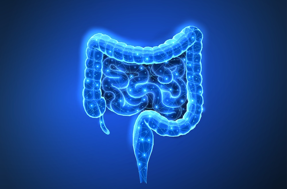 Immune Cell Circuit Restores Barrier Function in IBD - News Center